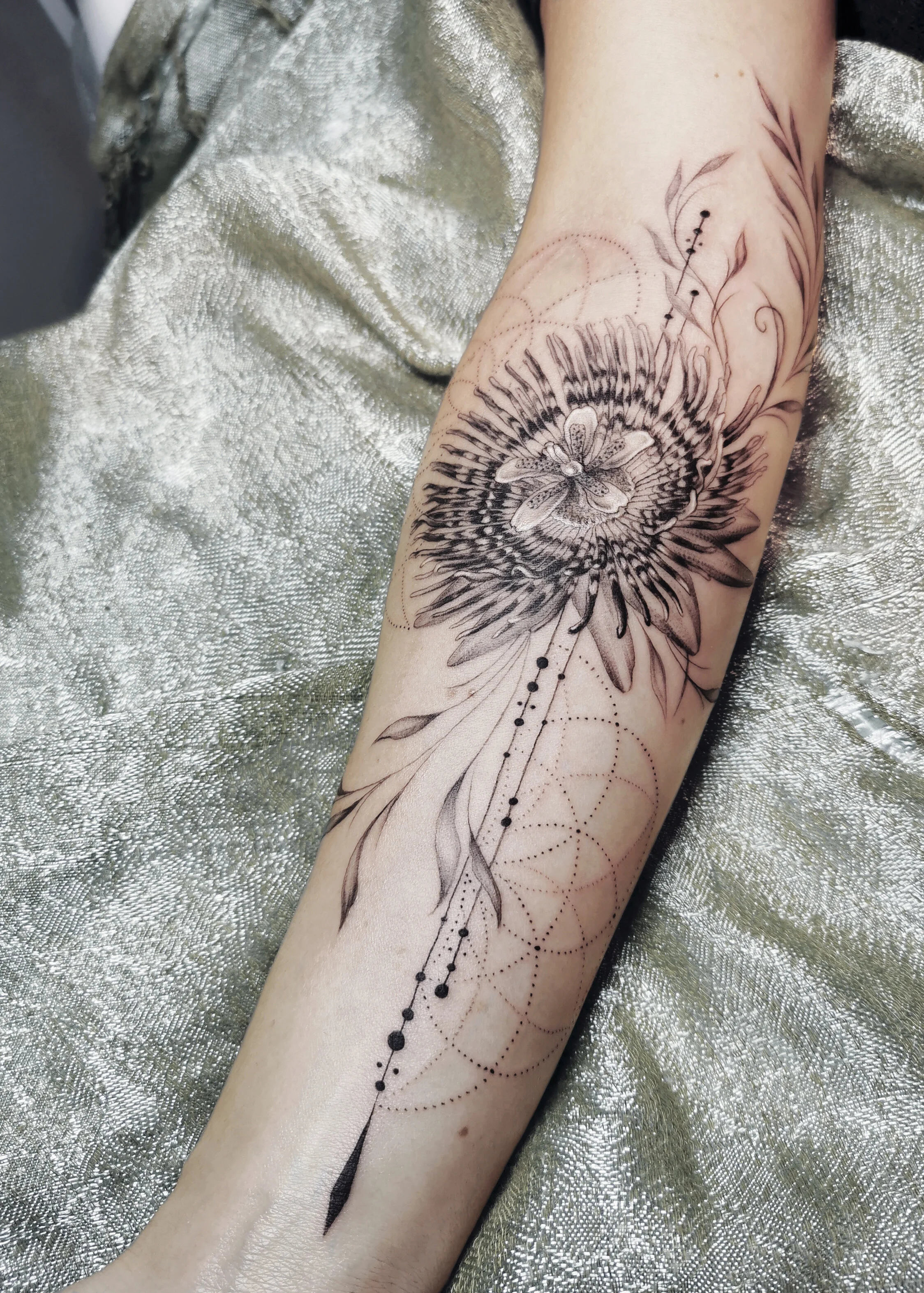 Home — Caroline Cloutier