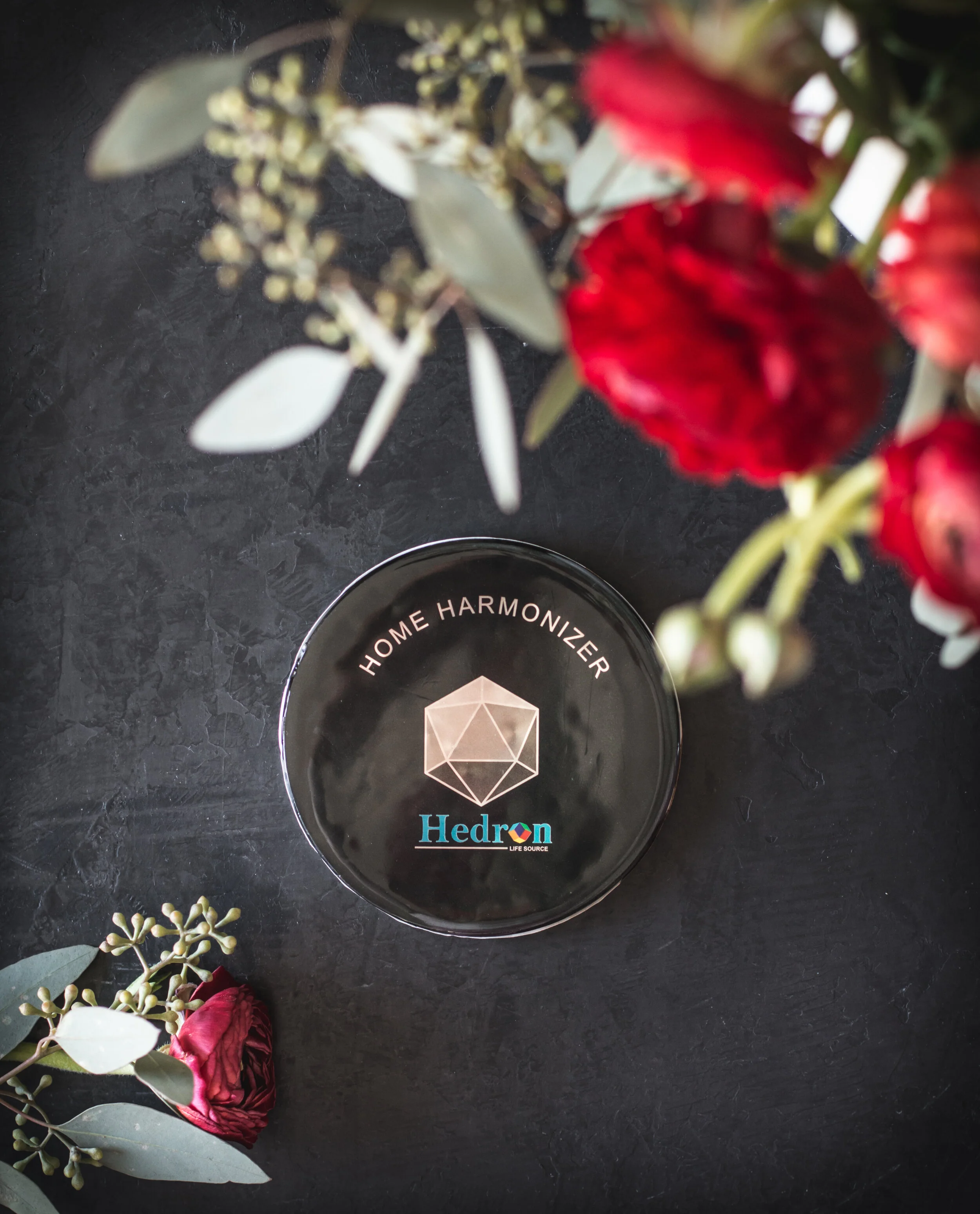 Shop Online — Dr. Ashley Turner