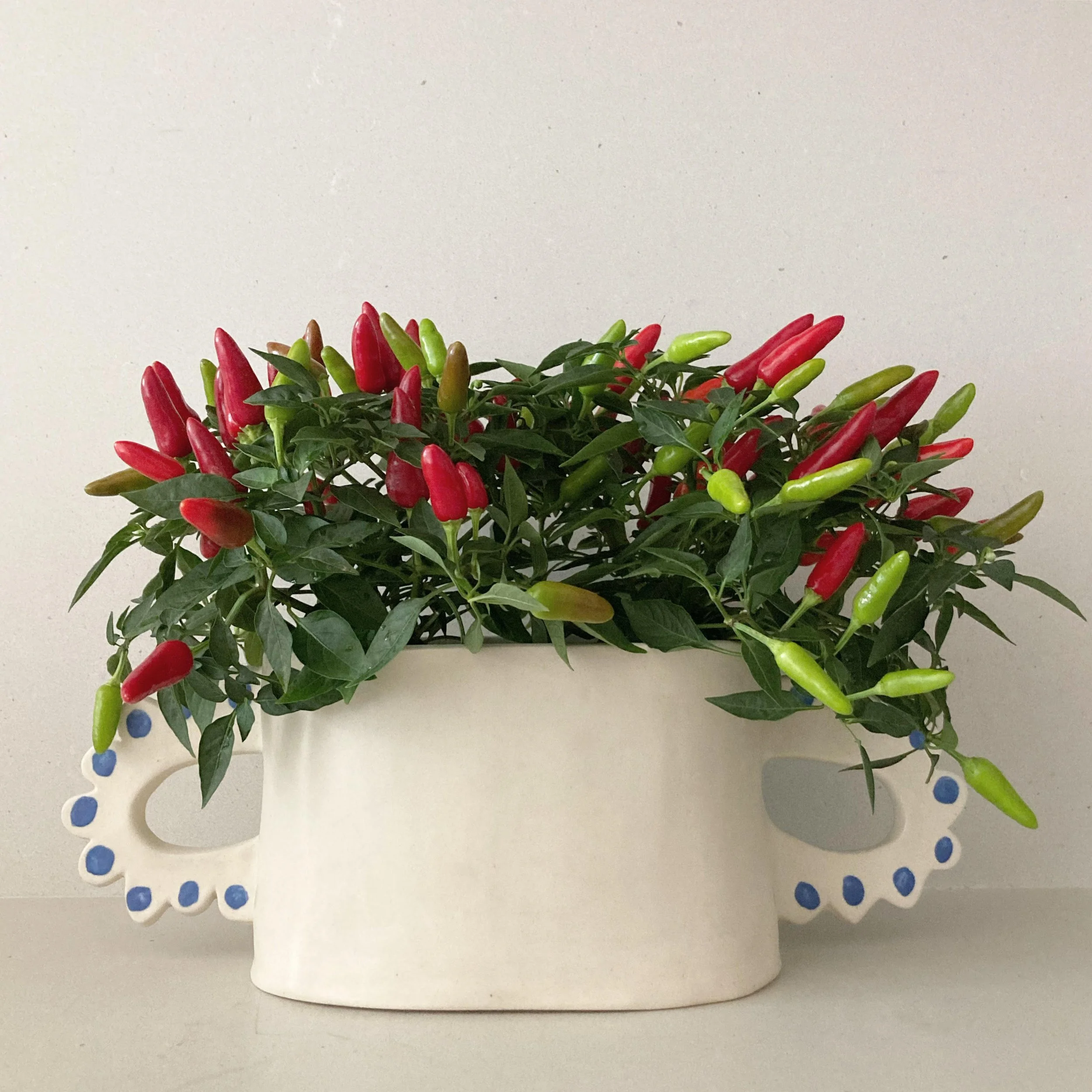 Shop — Mati Ceramics