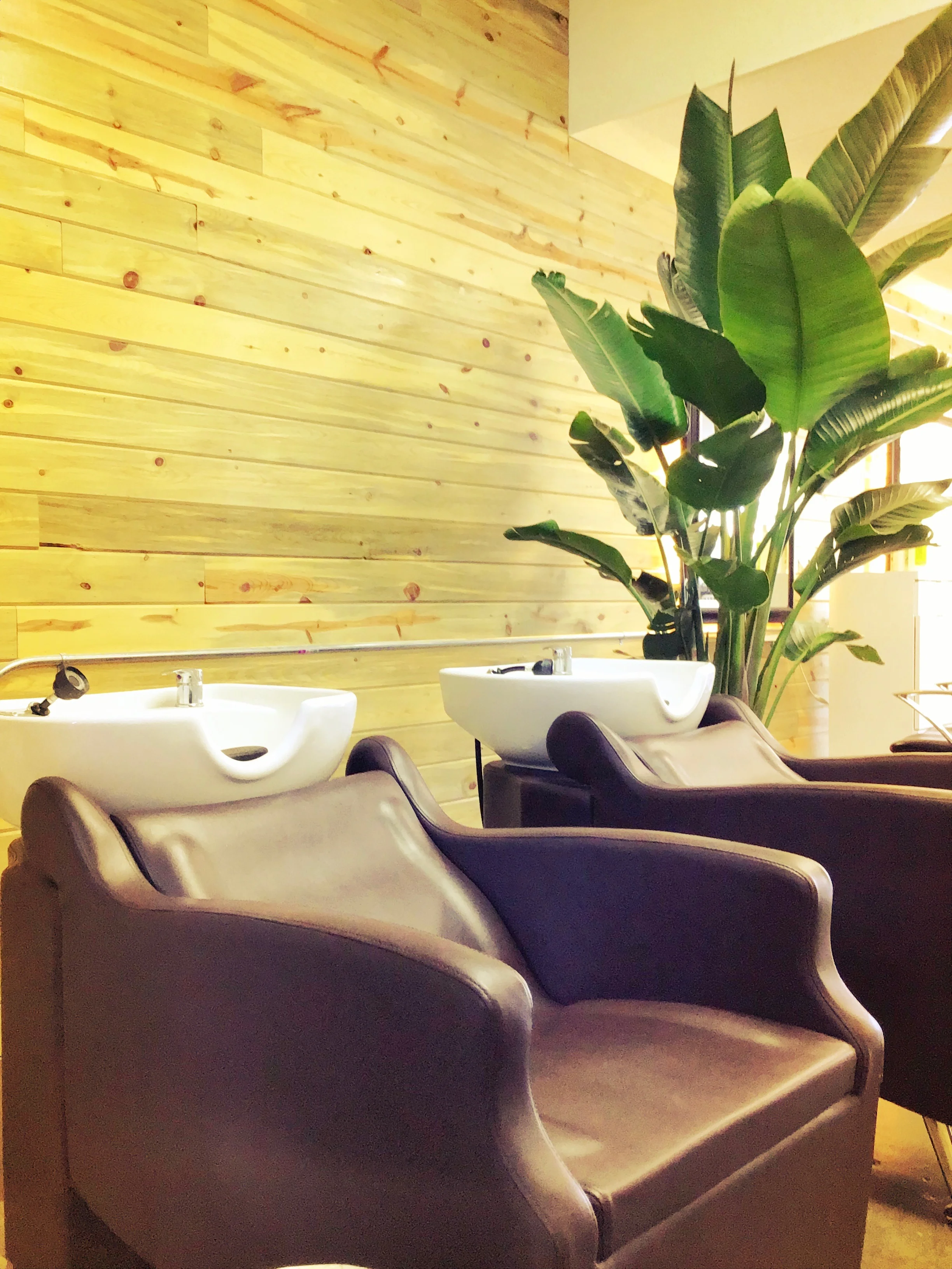 Welcome to Revolution Hair Salon