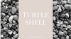 Turtle Shell — No Stone Left Unturned