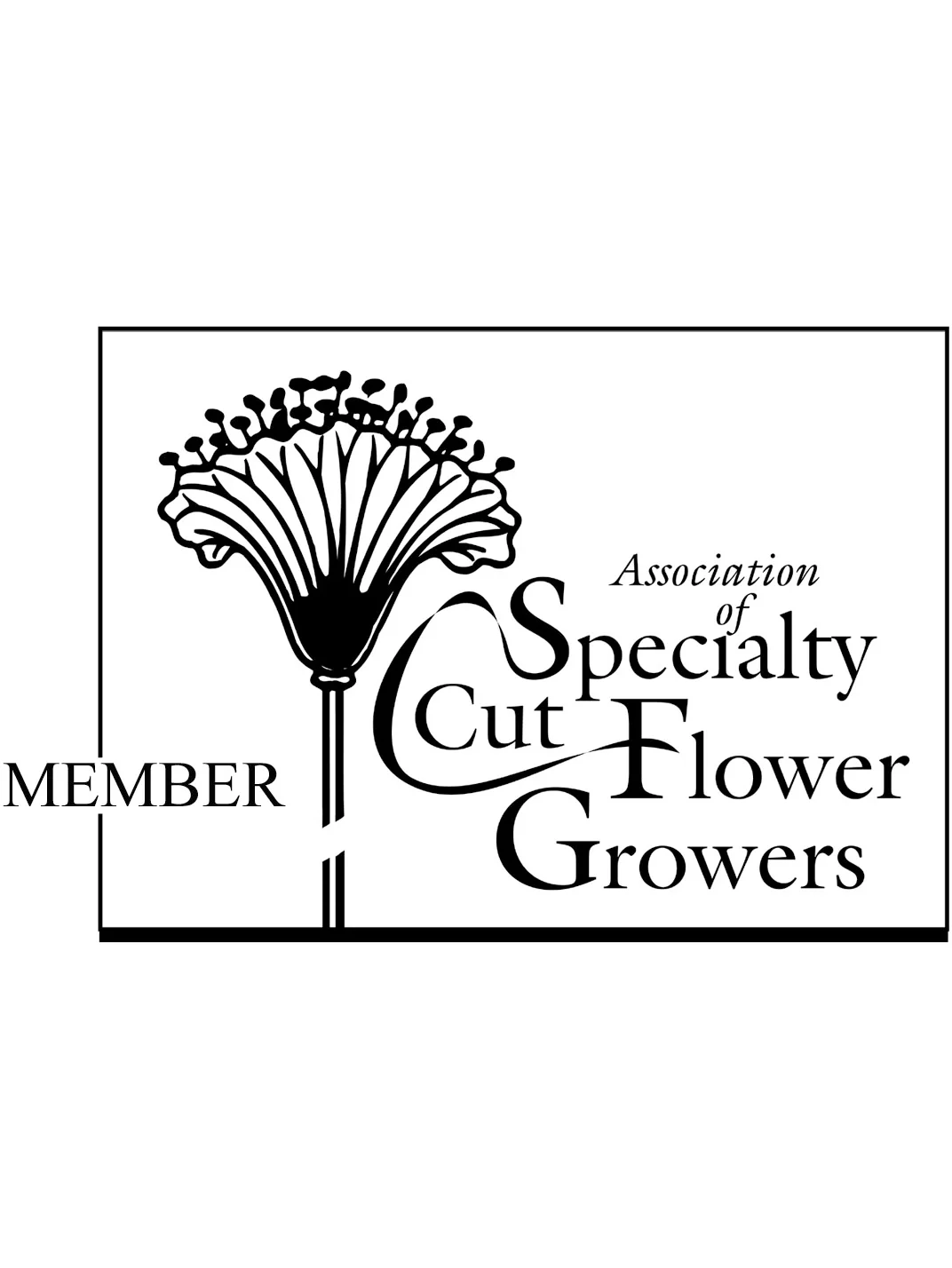 Spring (May) — Flutterby Flower Farm