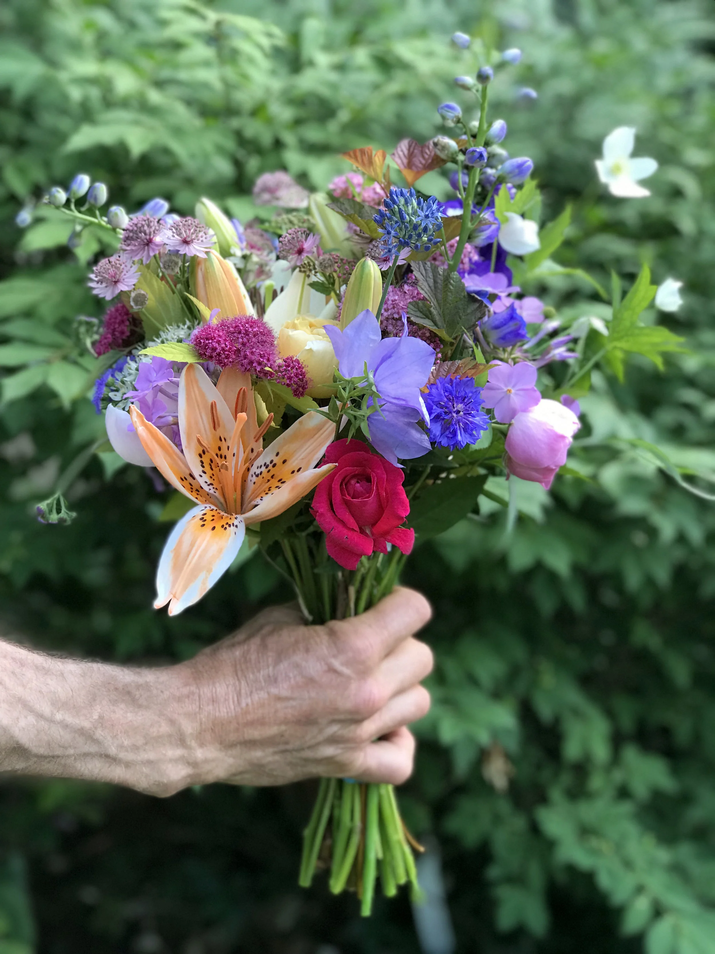 Photo Gallery — Flutterby Flower Farm