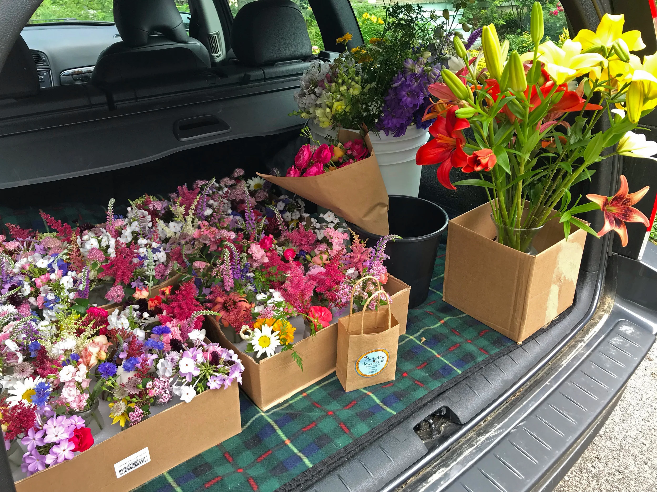 Photo Gallery — Flutterby Flower Farm