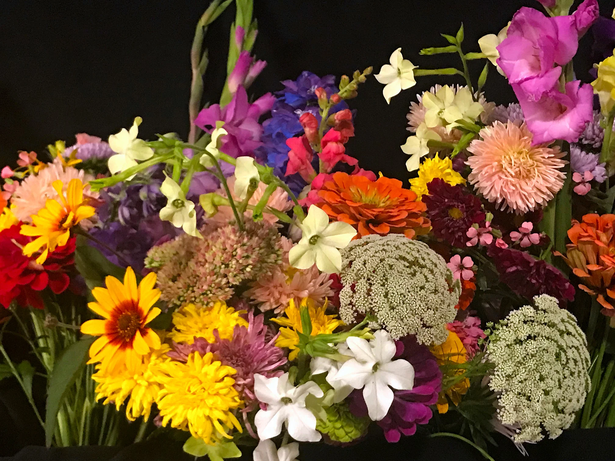 Photo Gallery — Flutterby Flower Farm