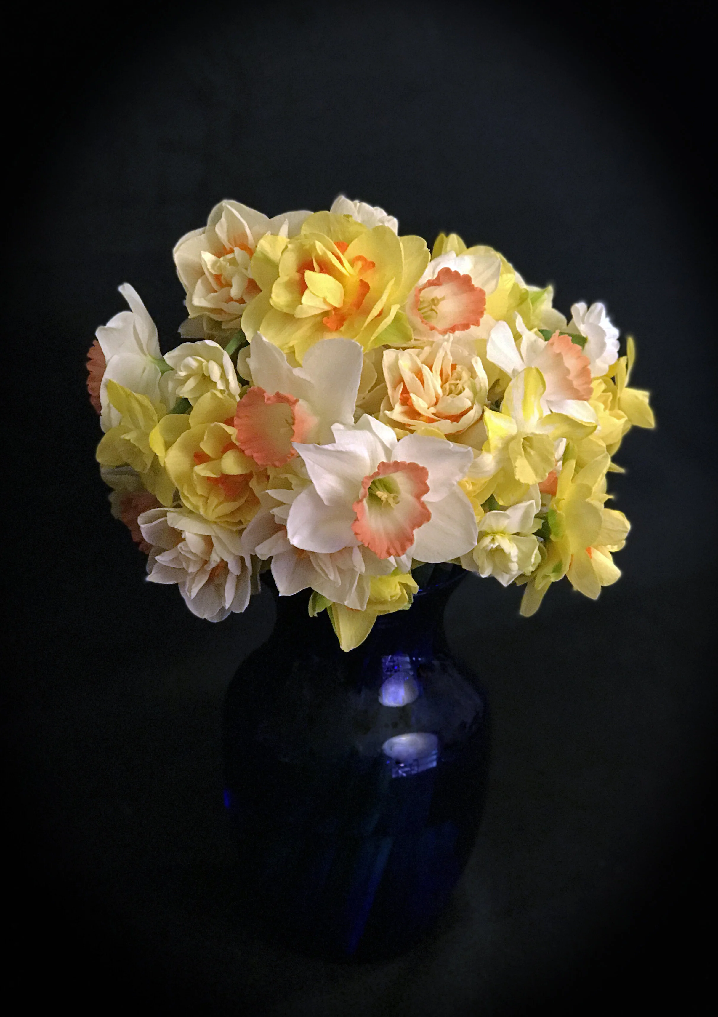 Photo Gallery — Flutterby Flower Farm