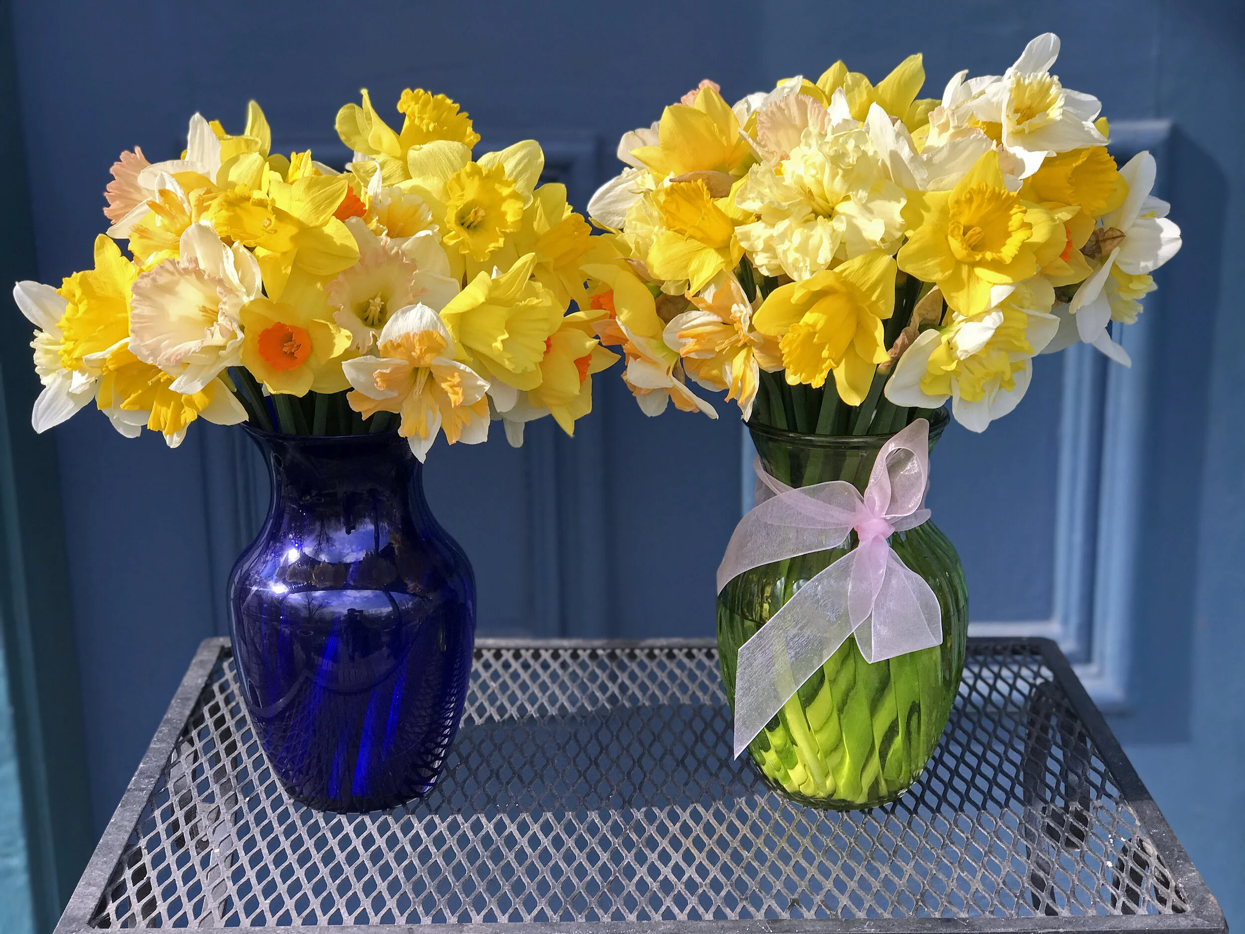 Photo Gallery — Flutterby Flower Farm