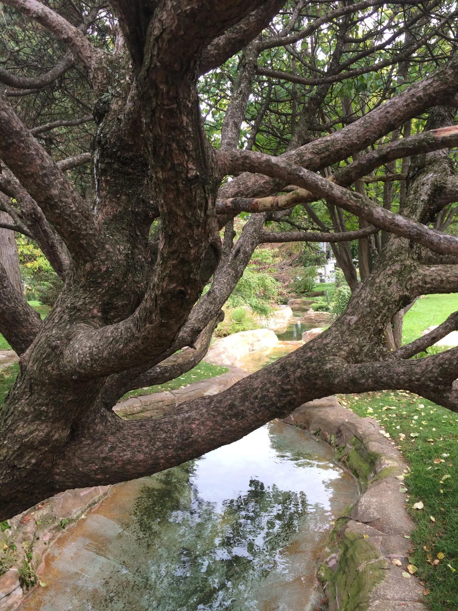 Contact — Friends of Thomas Lowry Park