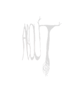 About — Talullah Ruff