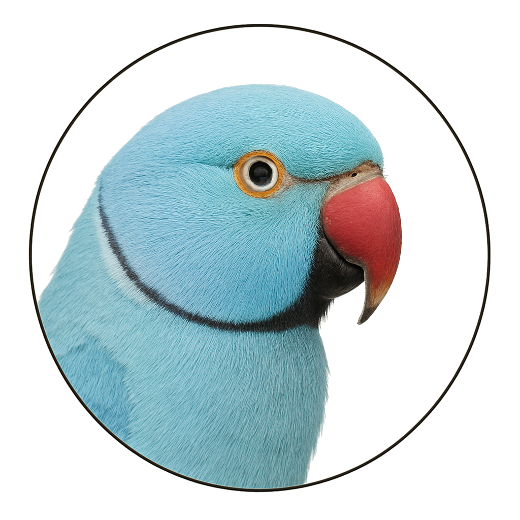 Feature Overview | Explore Our Features Now — Birdkeeper