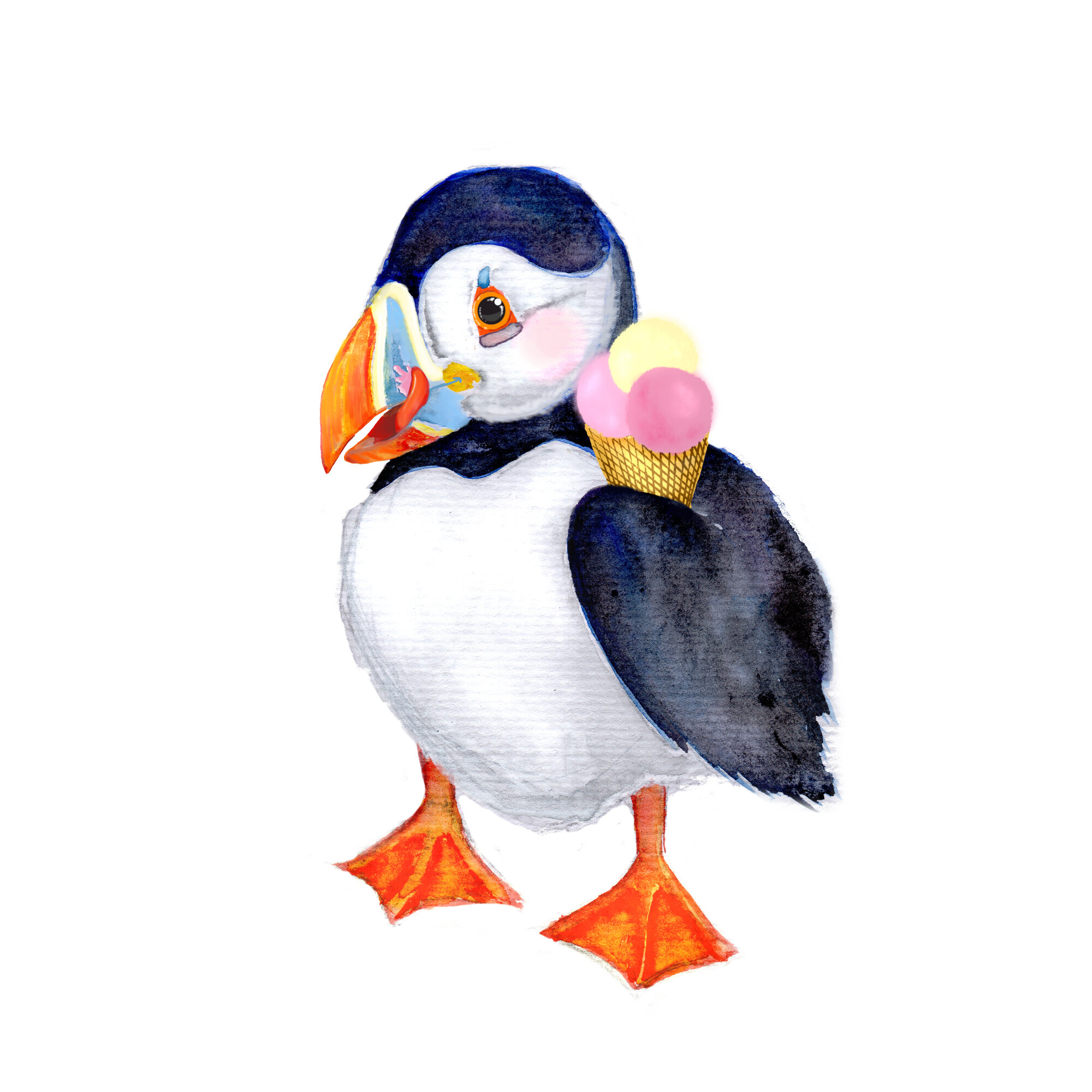 Puffin Prints
