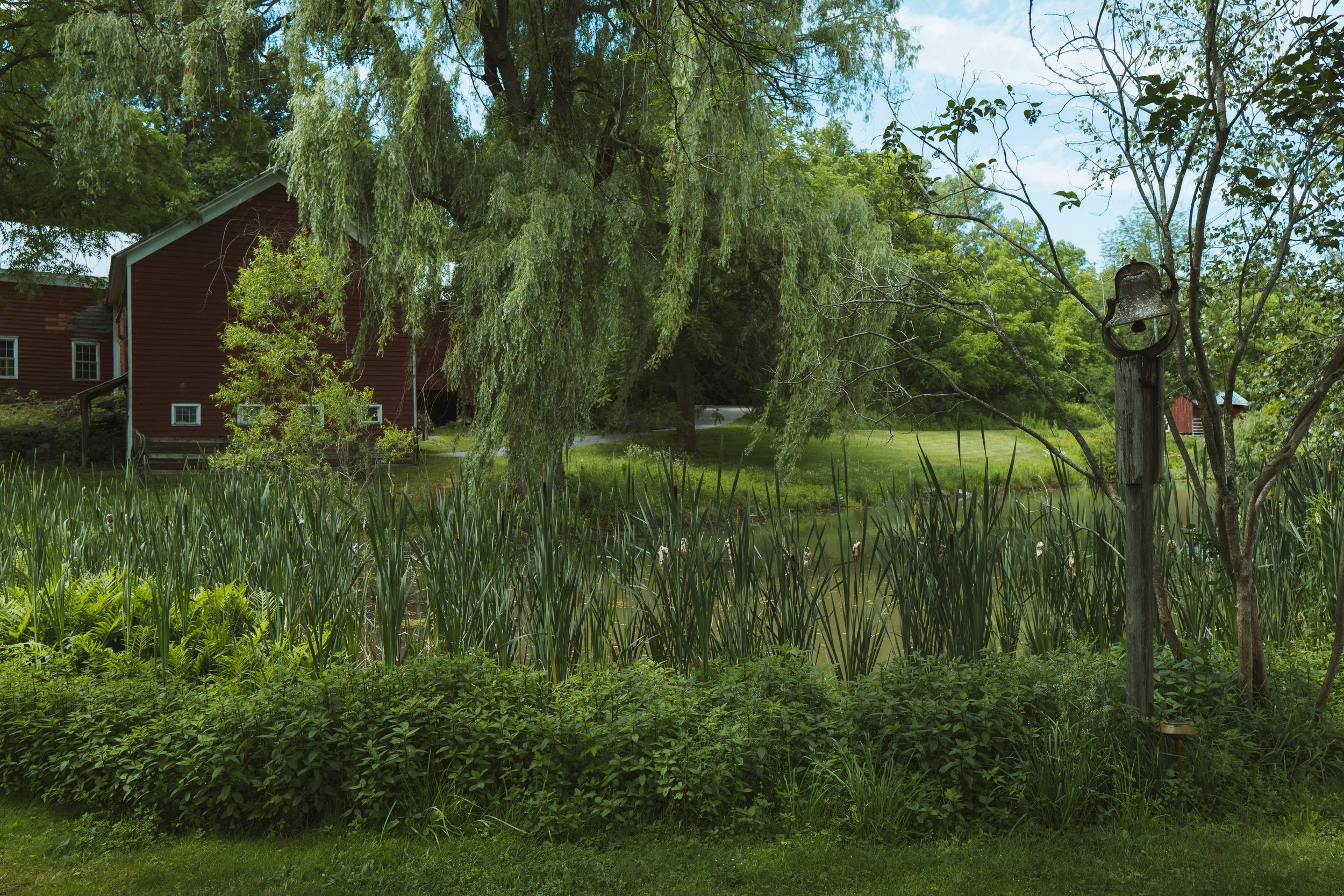 Our Story — THE MAPLES ESTATE