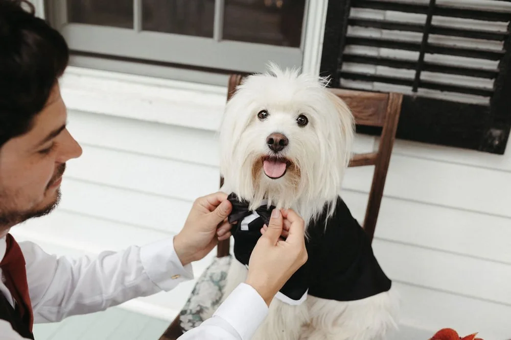 Rainy Day Weddings. Rachel & Nick — THE MAPLES ESTATE