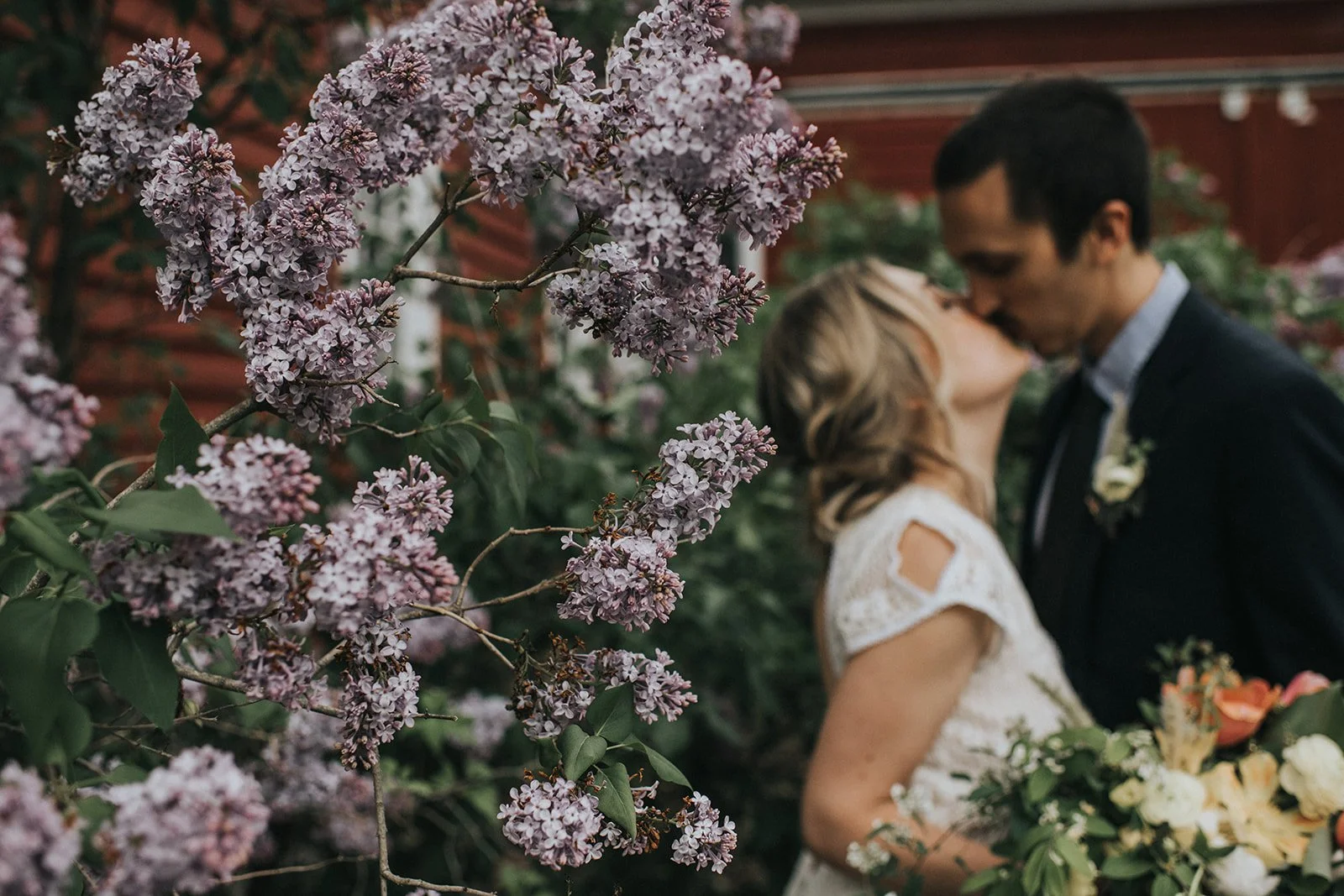Wondering What Season To Celebrate? — THE MAPLES ESTATE