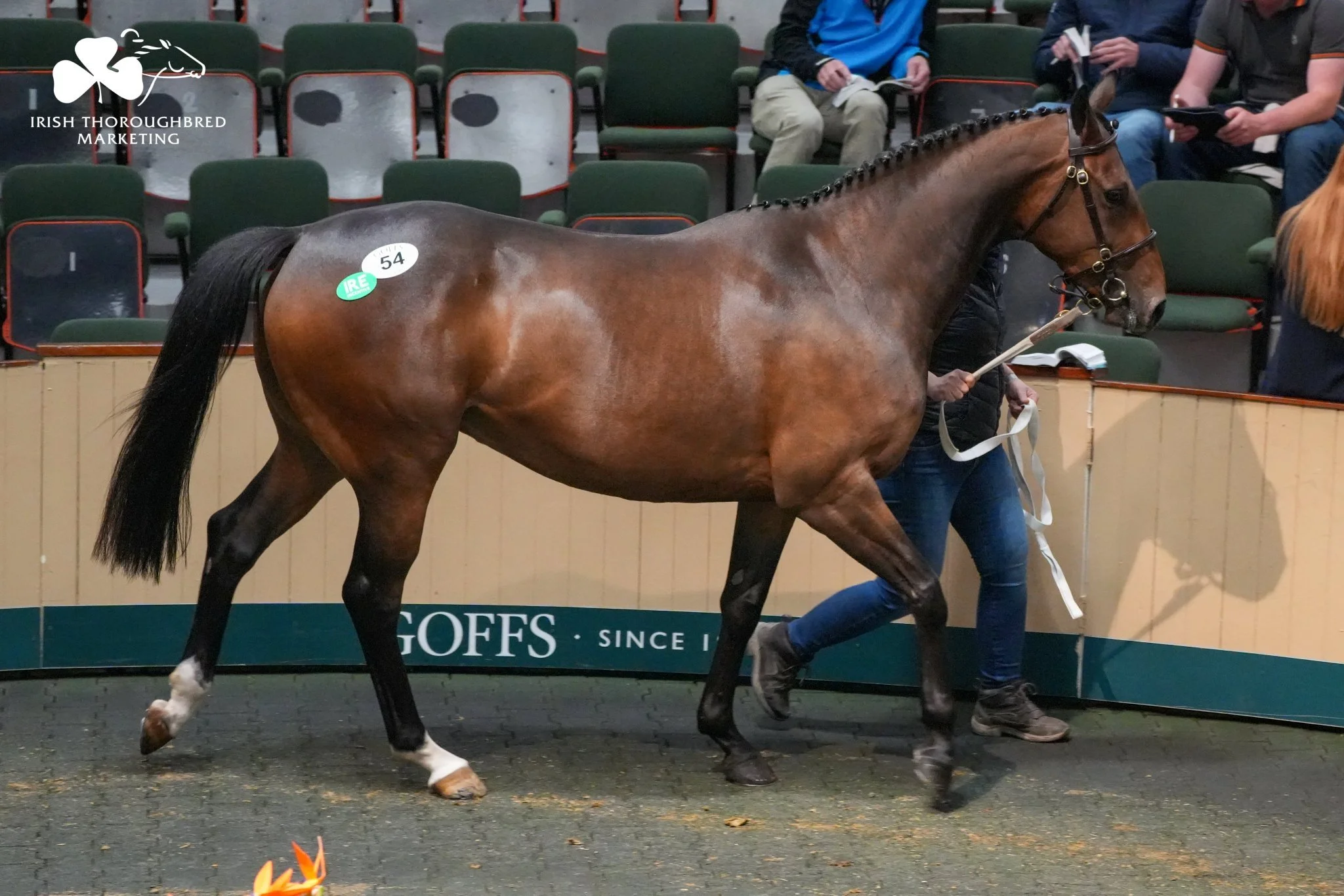 Buy Shares — Syndicates.Racing