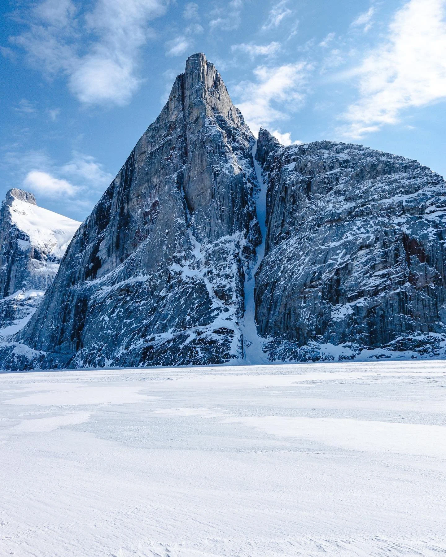 Polar Star — THE FIFTY