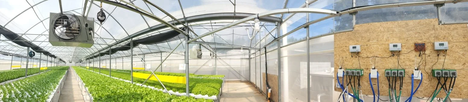 Veggiwell Case Study — Autogrow