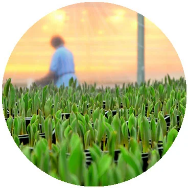 About Us, Greenhouse Grow Room Controls & Solutions Team — Autogrow