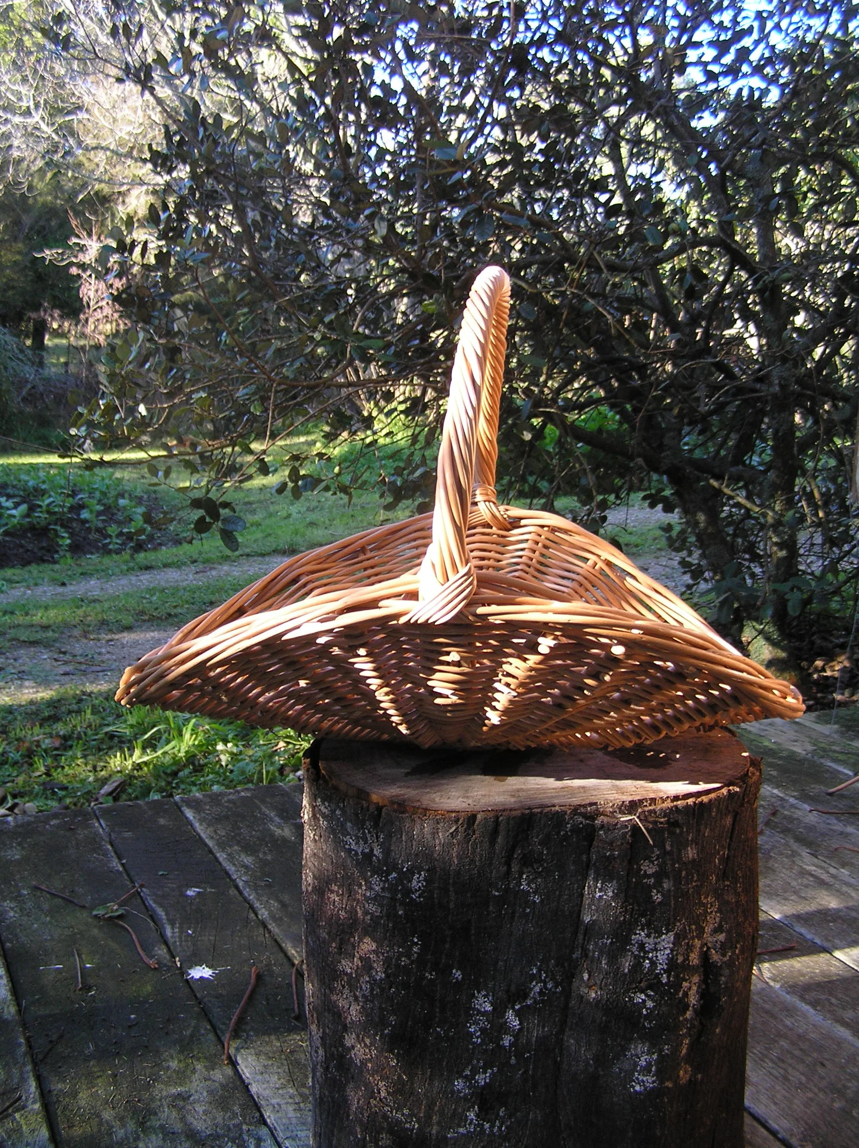 Baskets — Willow Works