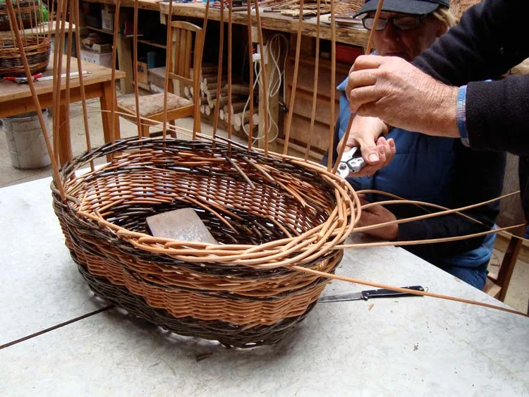 Courses — Willow Works