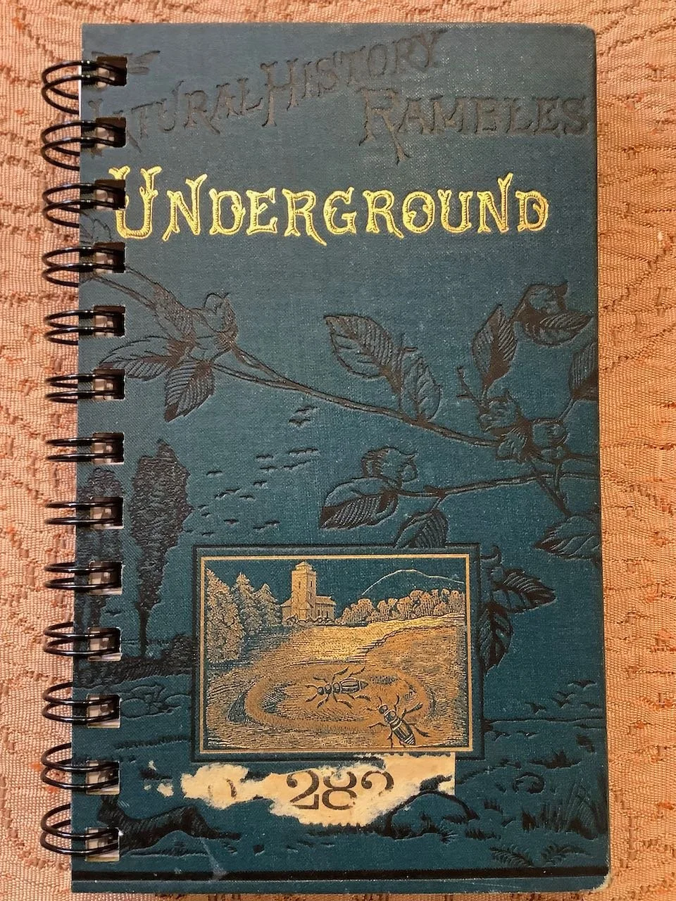 Stationery & Crafts — Much Ado Books