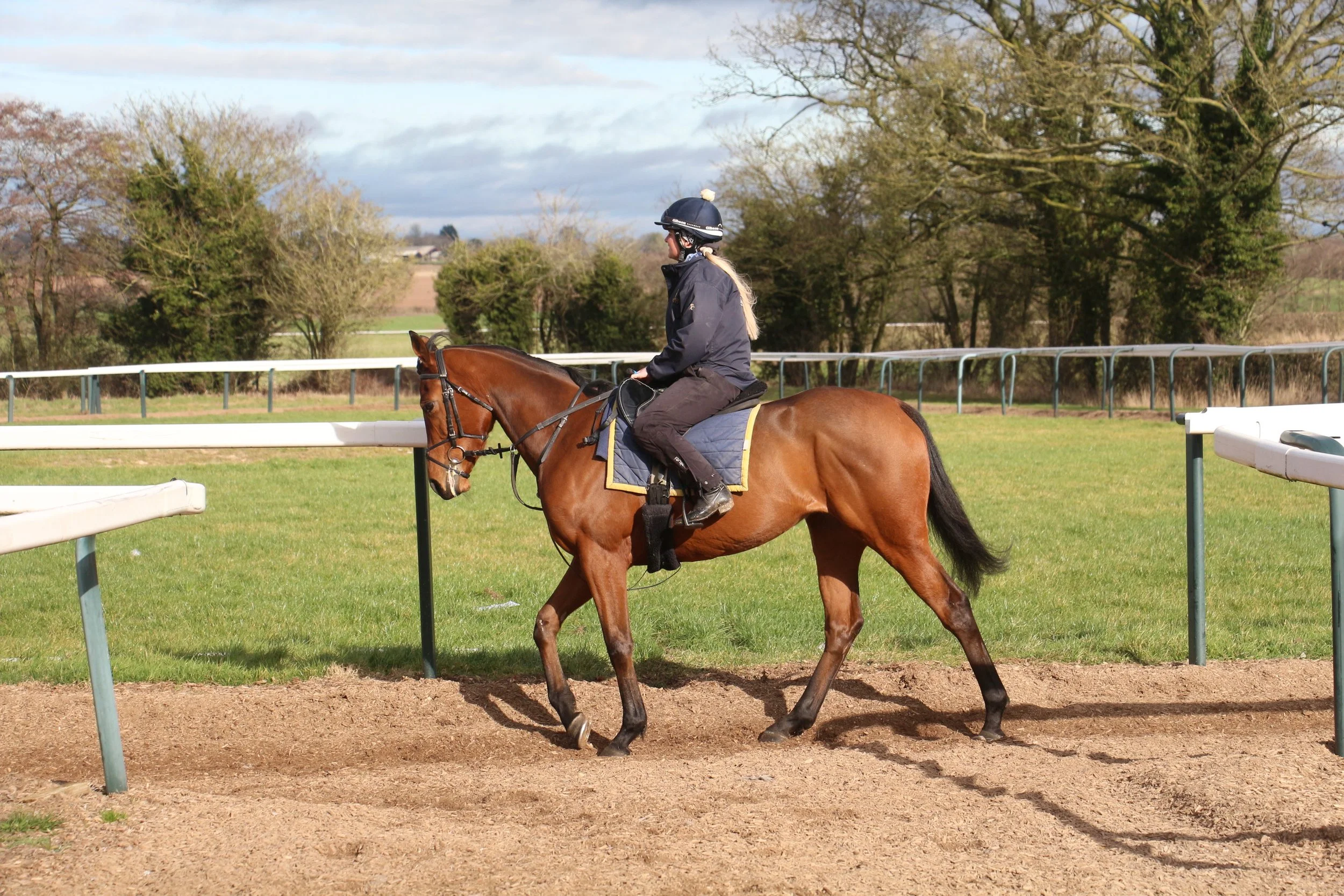 HORSES / TRAINERS — Michael Owen Racing Club