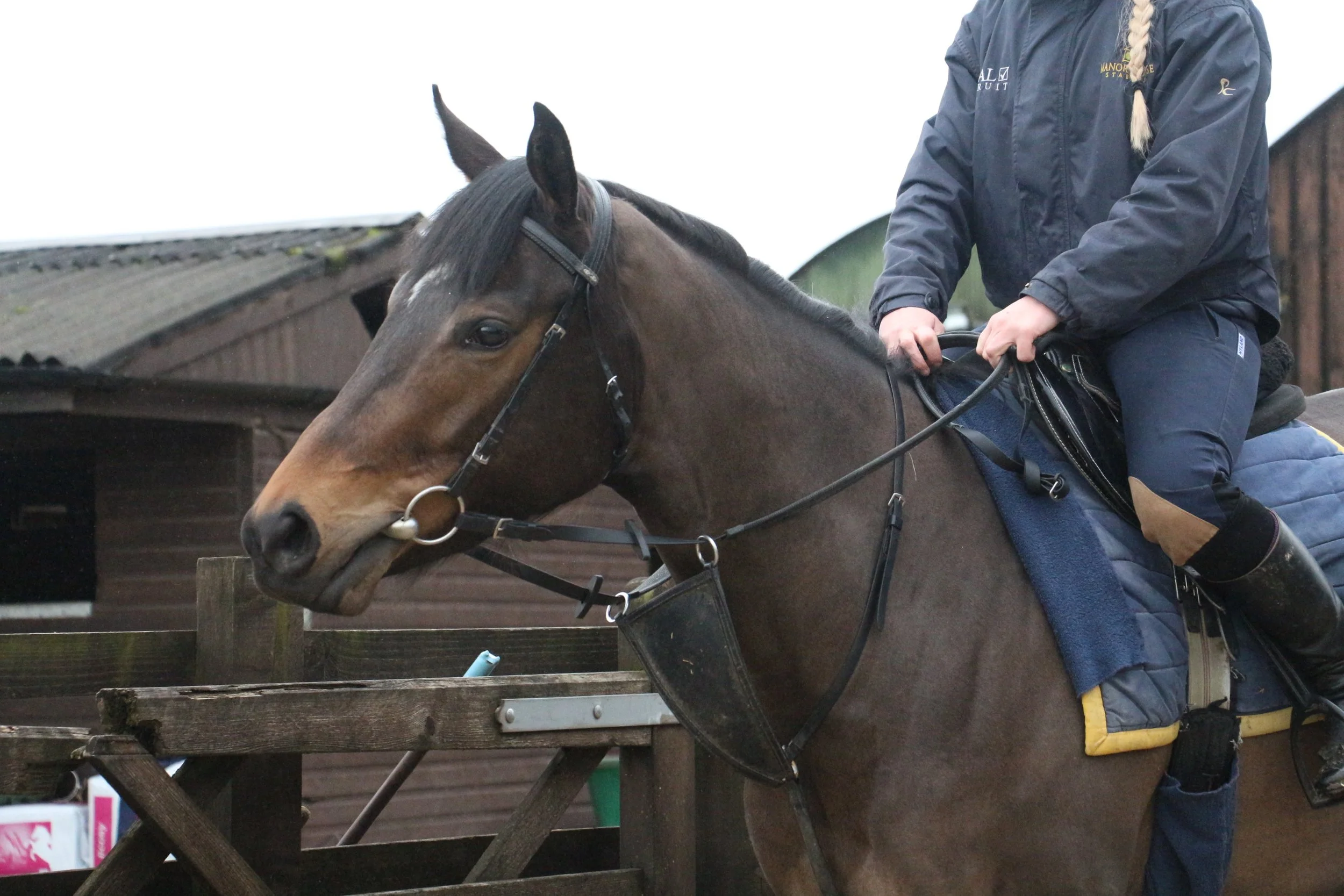 HORSES / TRAINERS — Michael Owen Racing Club