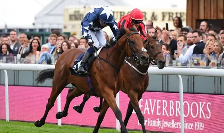 HORSES / TRAINERS — Michael Owen Racing Club