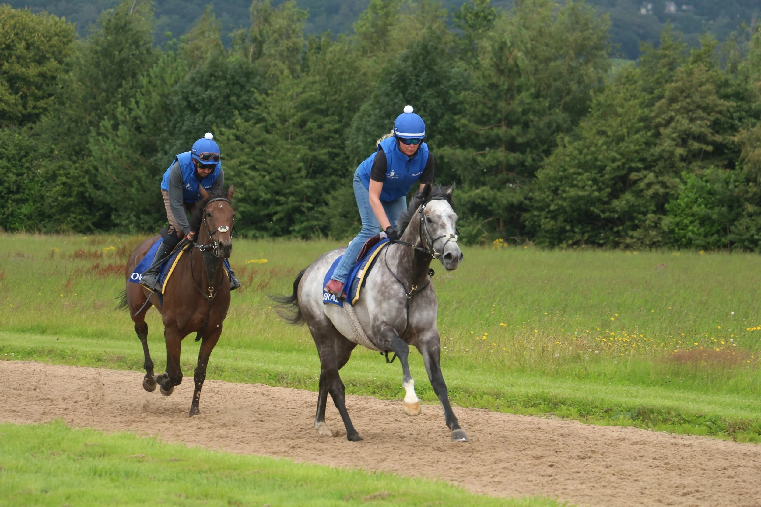 HORSES / TRAINERS — Michael Owen Racing Club