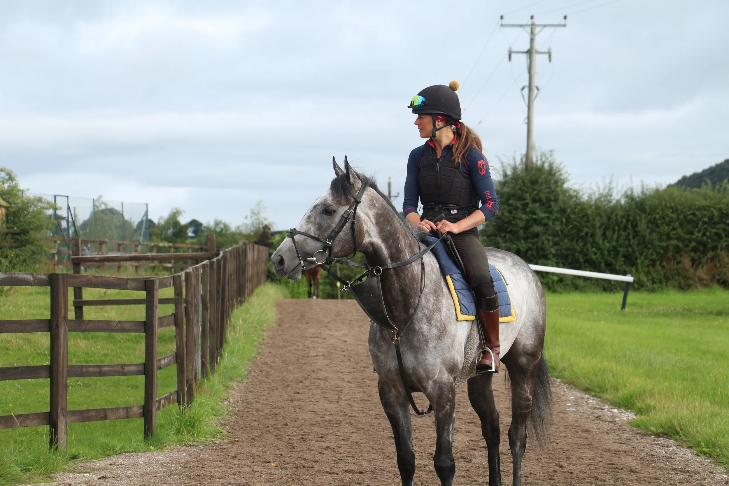 HORSES / TRAINERS — Michael Owen Racing Club