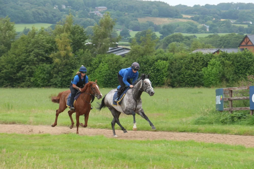 HORSES / TRAINERS — Michael Owen Racing Club