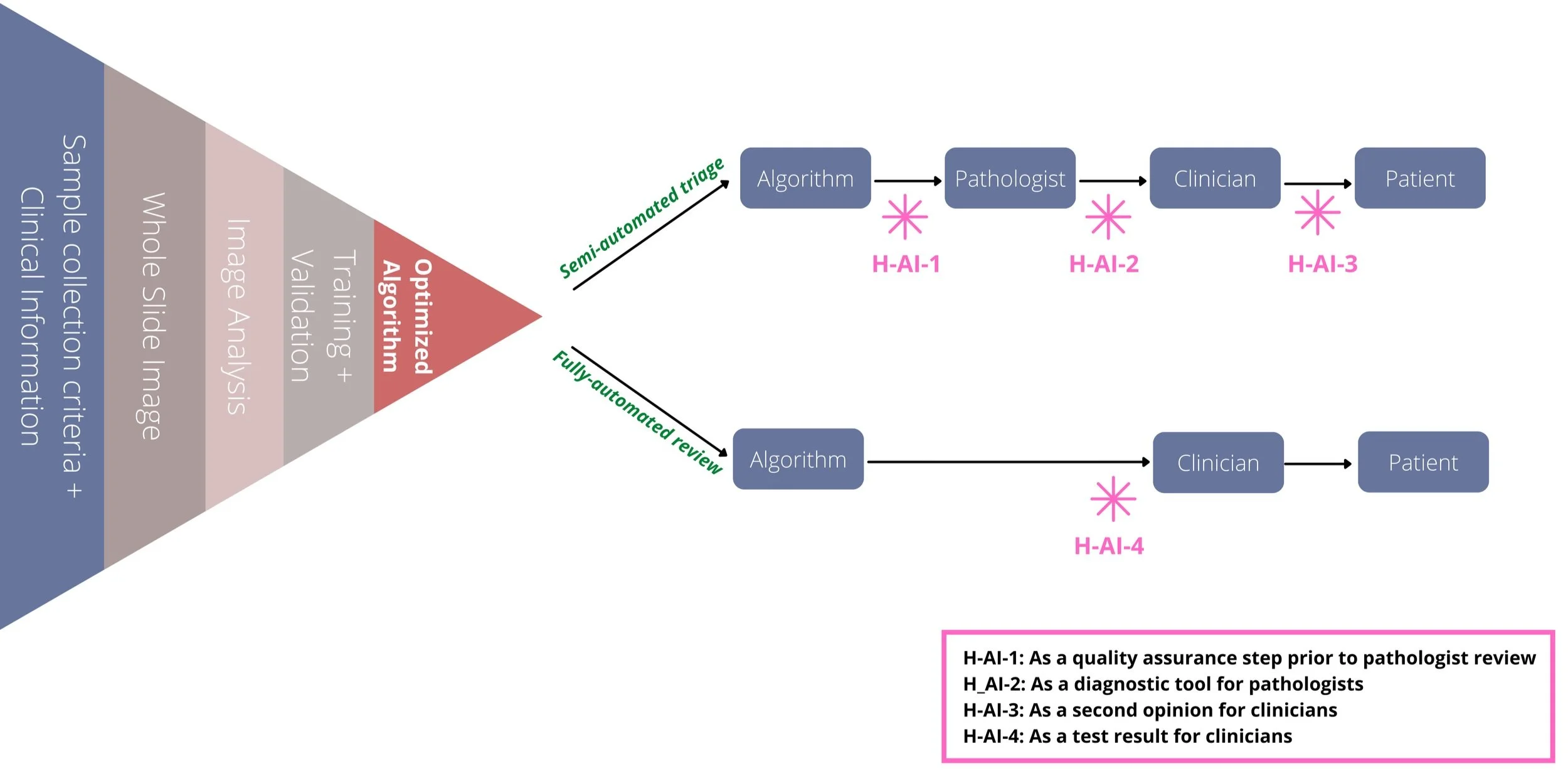 Human-AI Interaction Models for Clinical Decision Support — Aishwarya ...