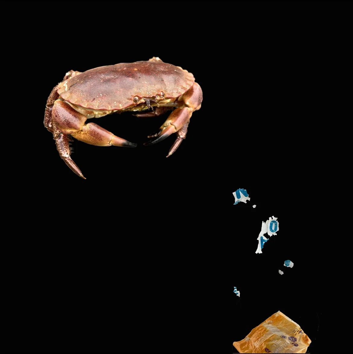 Anne Mette Prestegård — UKE9