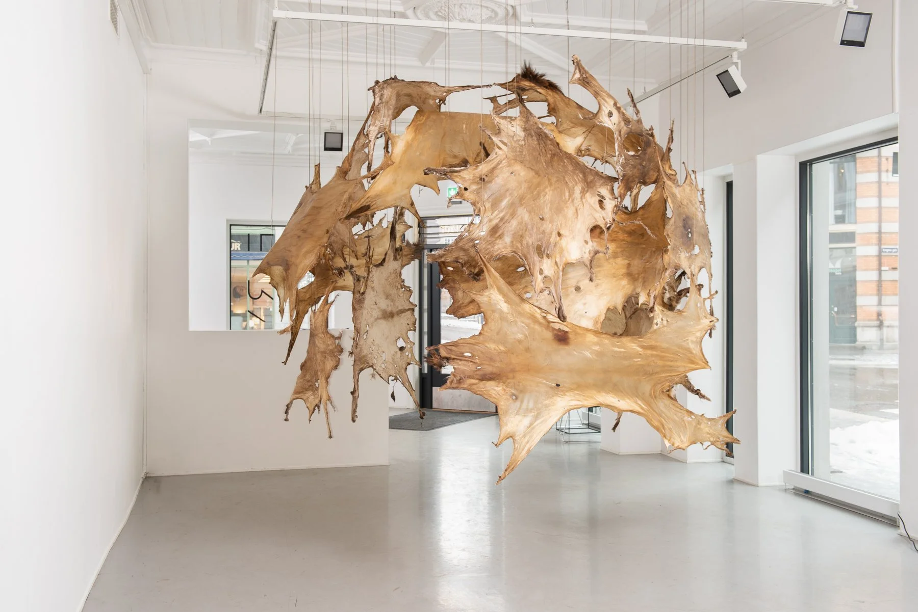 Toril Redalen & Siri Skjerve — Format Oslo