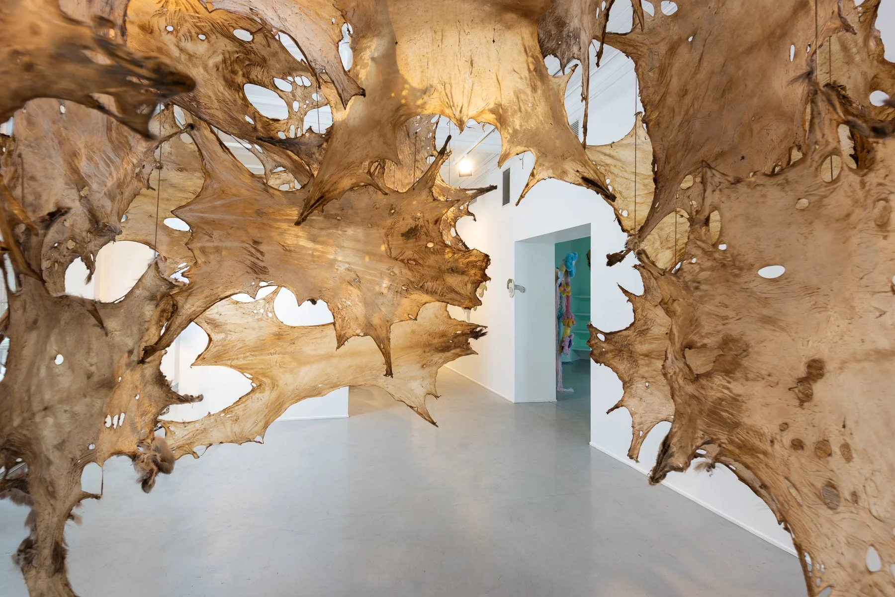 Toril Redalen & Siri Skjerve — Format Oslo