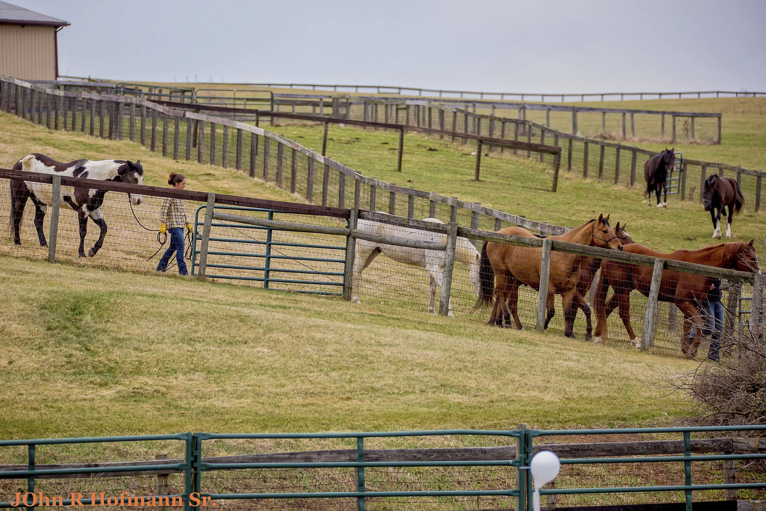 Willow Brook Horse Farm