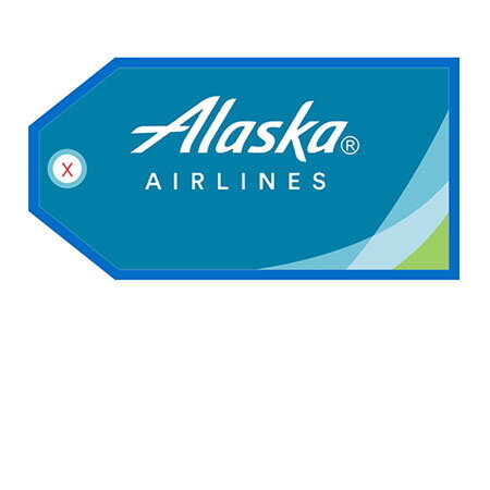 Airline Pin Badges & Bag Tags — The Aviation Society