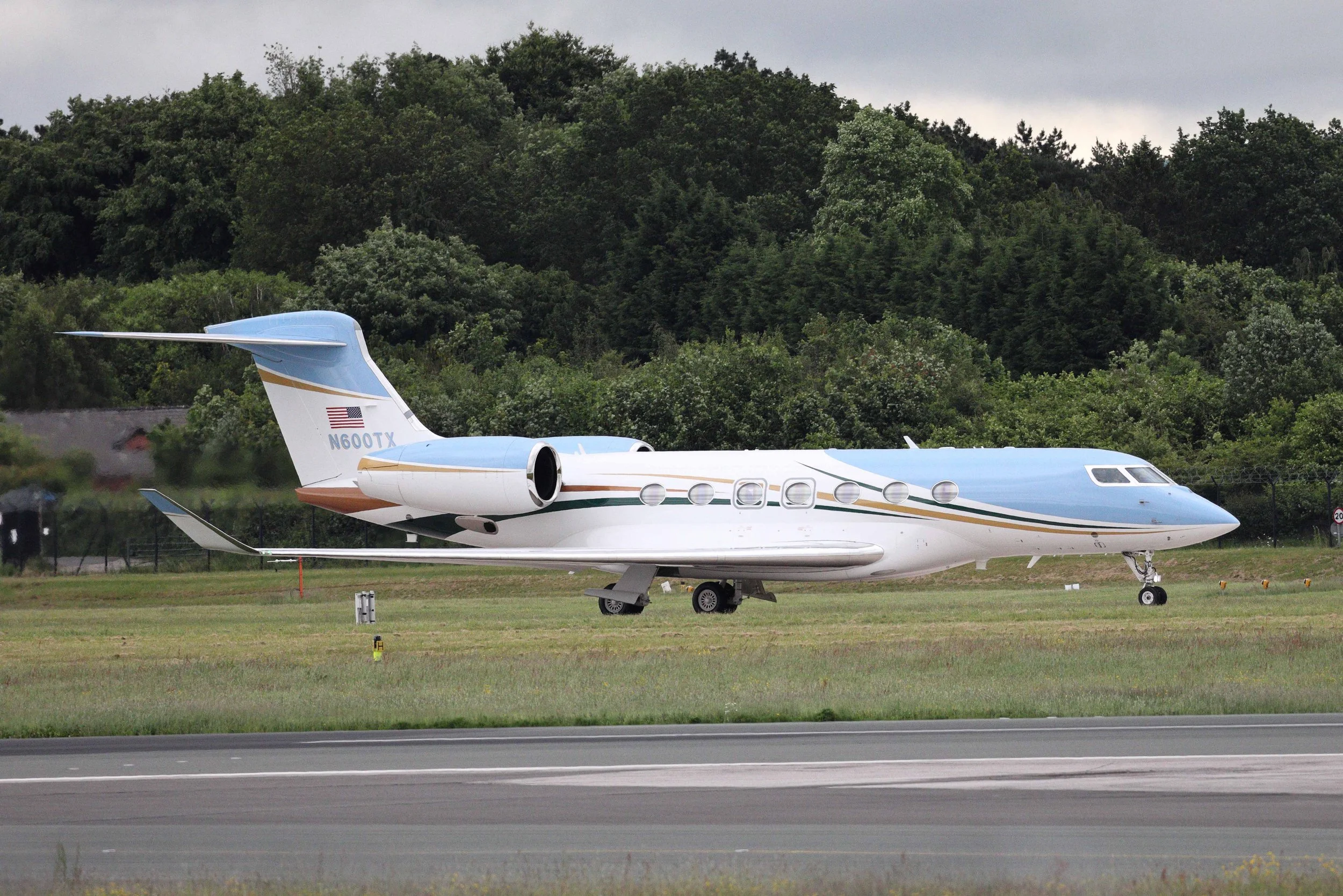 The Aviation Society