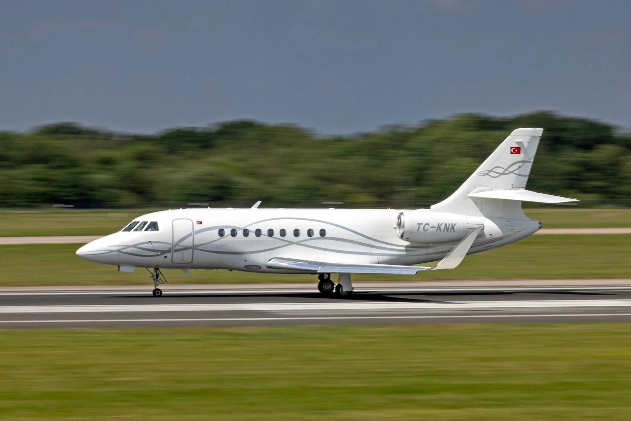 The Aviation Society