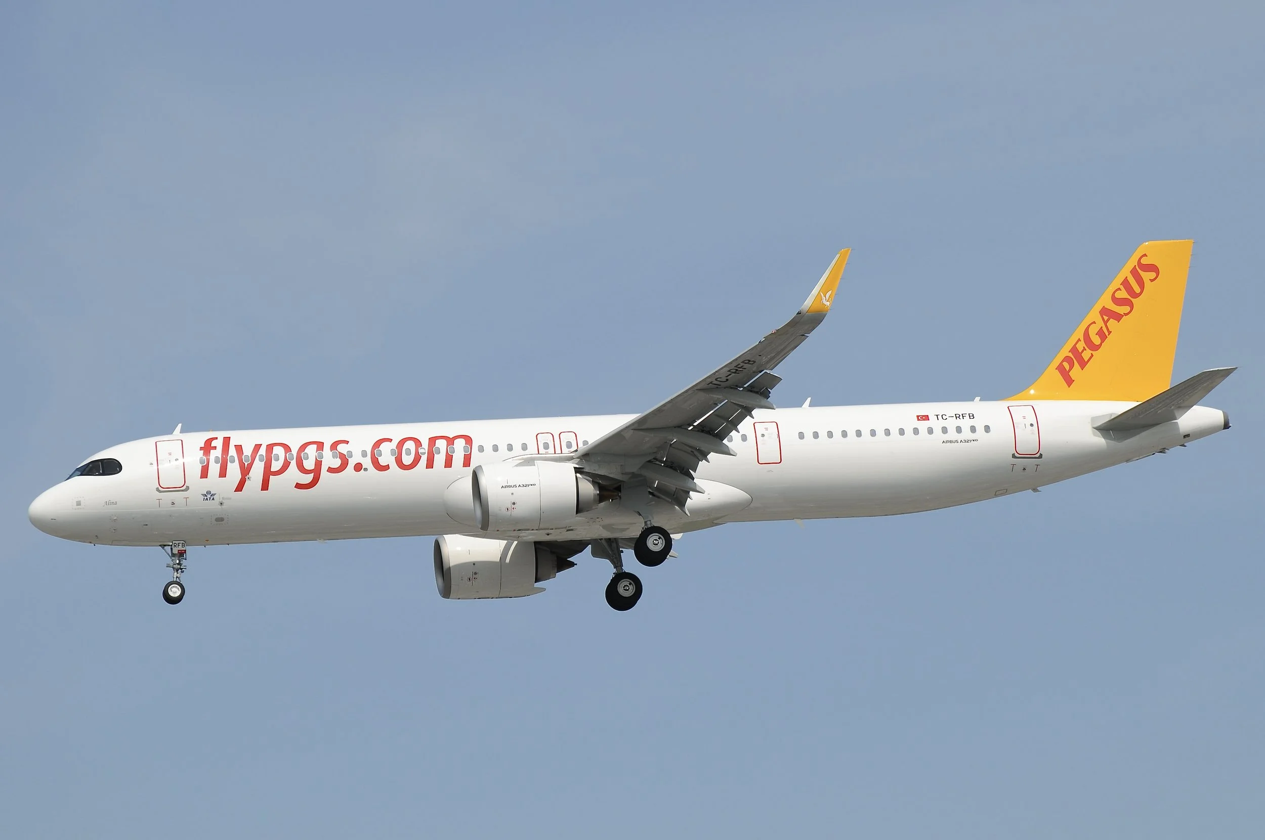 The Aviation Society