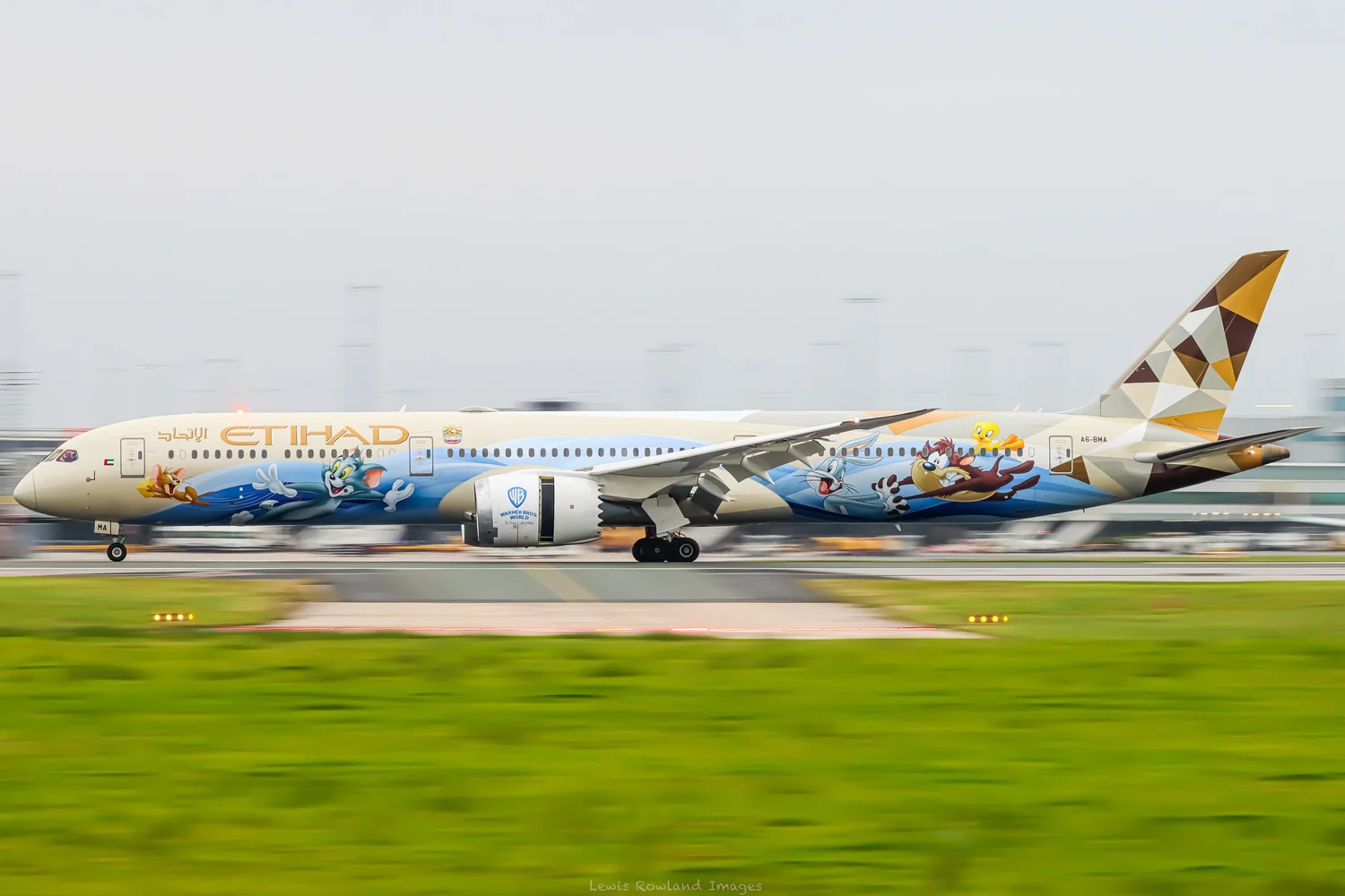 The Aviation Society