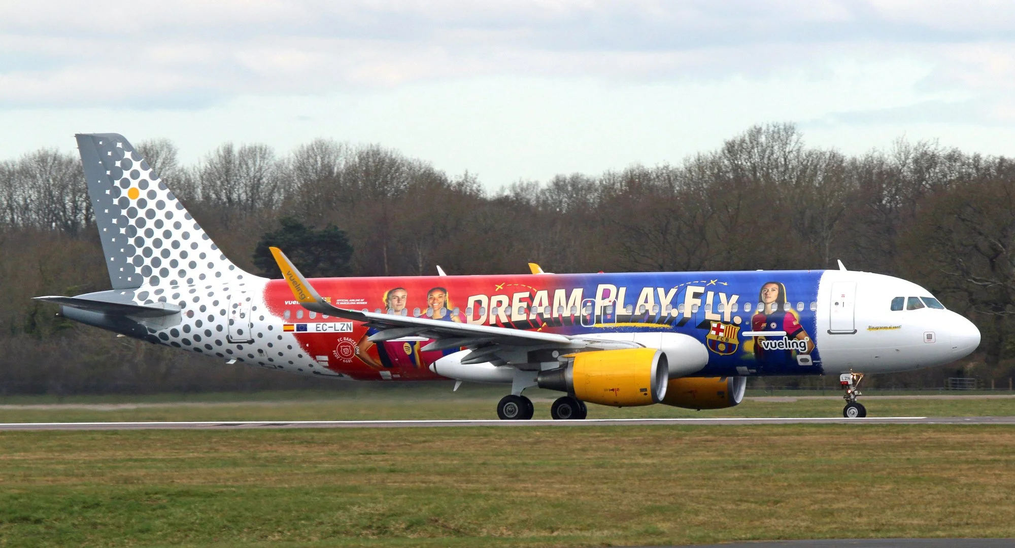 The Aviation Society