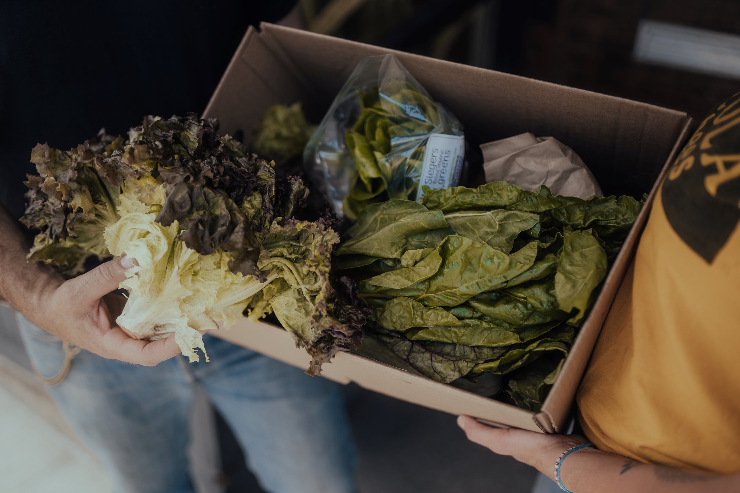 LIFE*SPIN — London Community Foundation