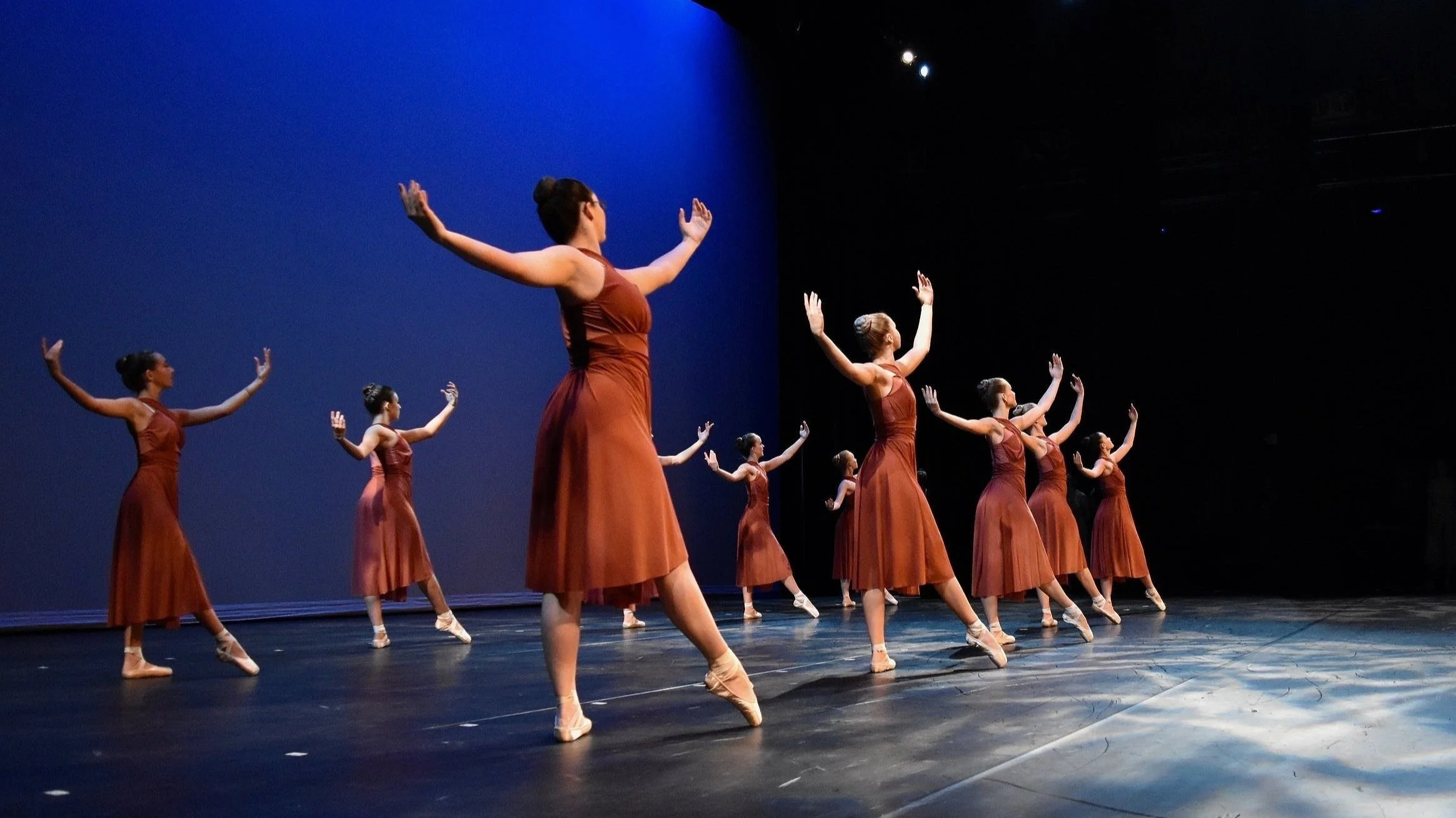 Overview — Suncoast Academy of Dance
