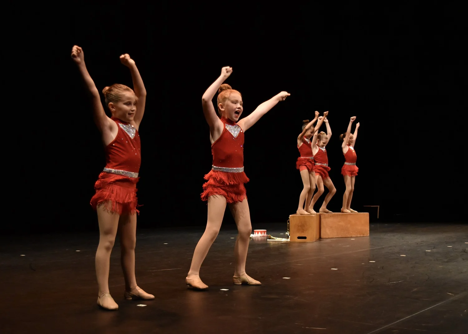 Overview — Suncoast Academy of Dance