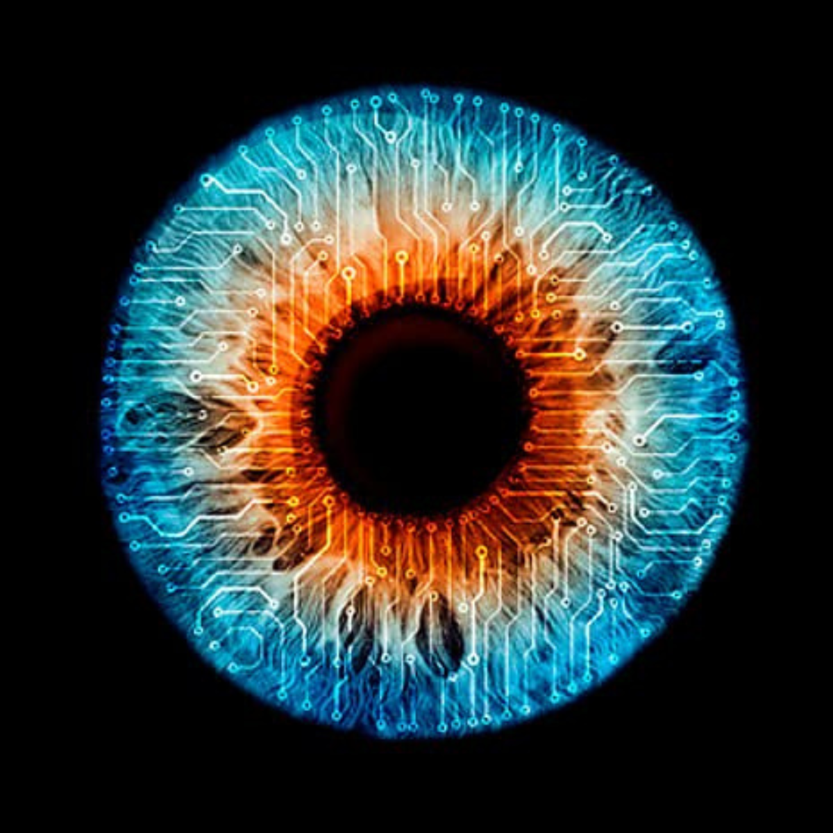 The Genesis Machine — Genetics Unzipped