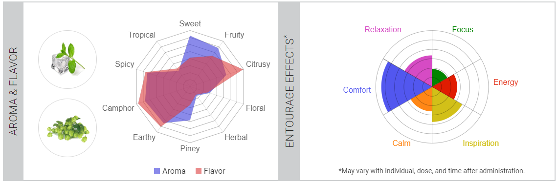Cannabis Clones— Highline Nursery