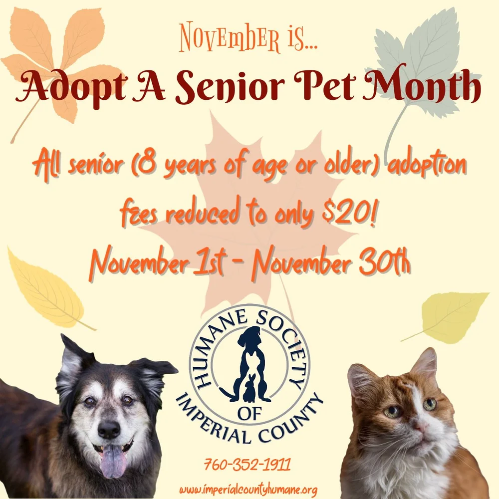 ADOPTION — HUMANE SOCIETY OF IMPERIAL COUNTY
