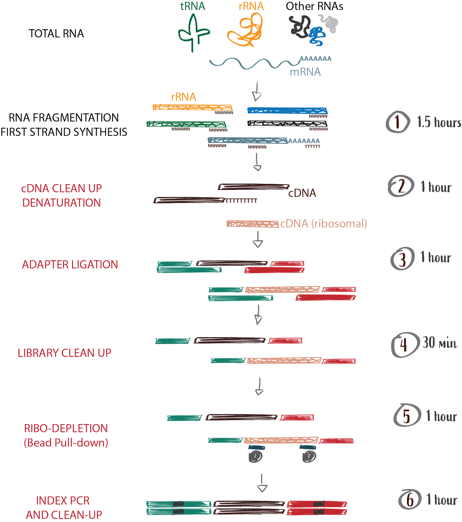 REALLY TECHNOLOGY — Claret Bioscience