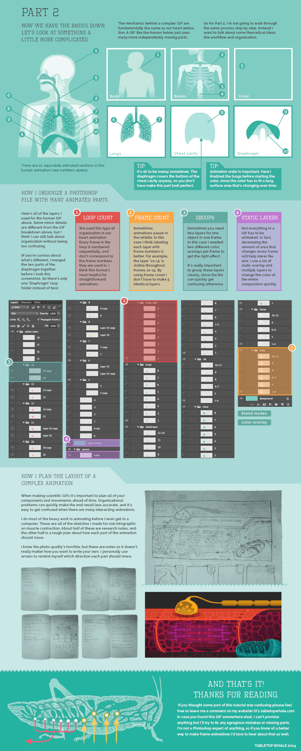 Infographic Gif Animation